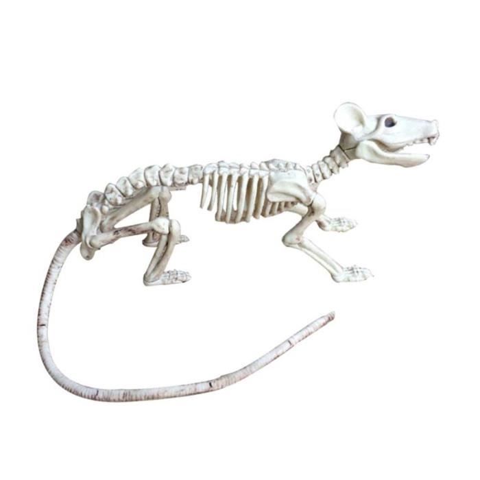 1pc squelette des animaux effrayant accessoires heureux squelette des ...