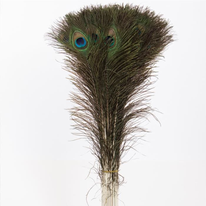 Plumes de Paon - TD® - 50 Pièces - Longueur 80-90cm - Naturelles ...