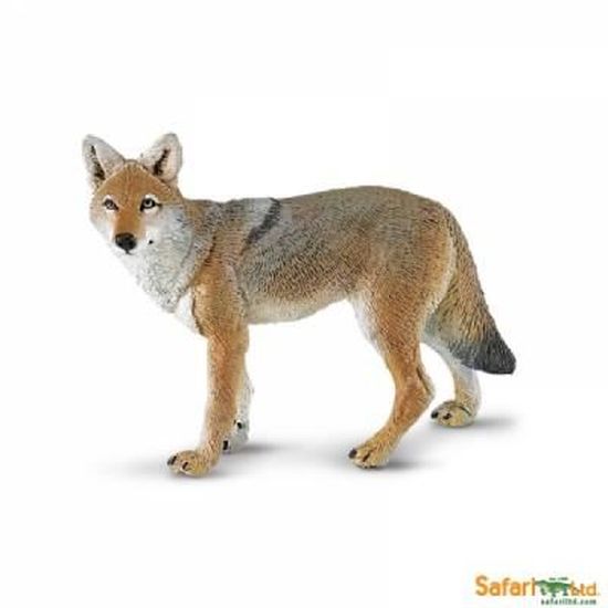 Coyote - Figurines Animaux SafariLtd 227229 - Cdiscount Jeux - Jouets