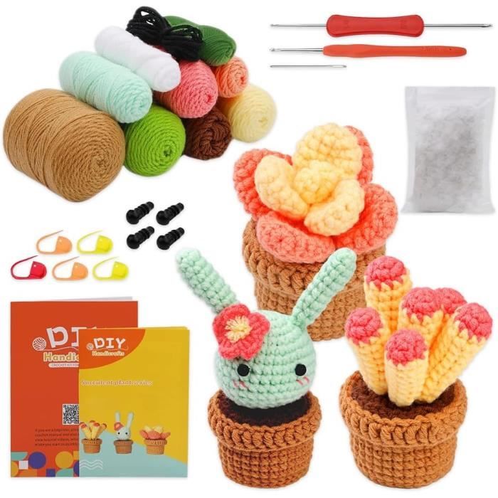 Kit de Crochet pour Débutants, Kit de Démarrage au Crochet, D ...