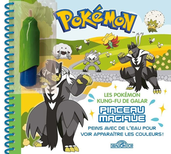 Pokémon - Pinceau magique - Les Pokémon Kung-Fu - Cdiscount Librairie