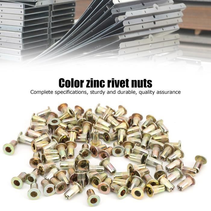 Crou D'Insertion Fileté 100Pcs Crou À Rivet À Tête Plate Plaqué Zinc Couleur Kit Bricolage ...