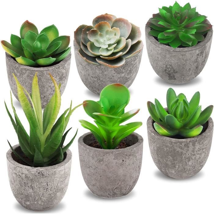 6 Pièces De Plantes Succulentes Artificielles En Pot,Petits Succulents ...