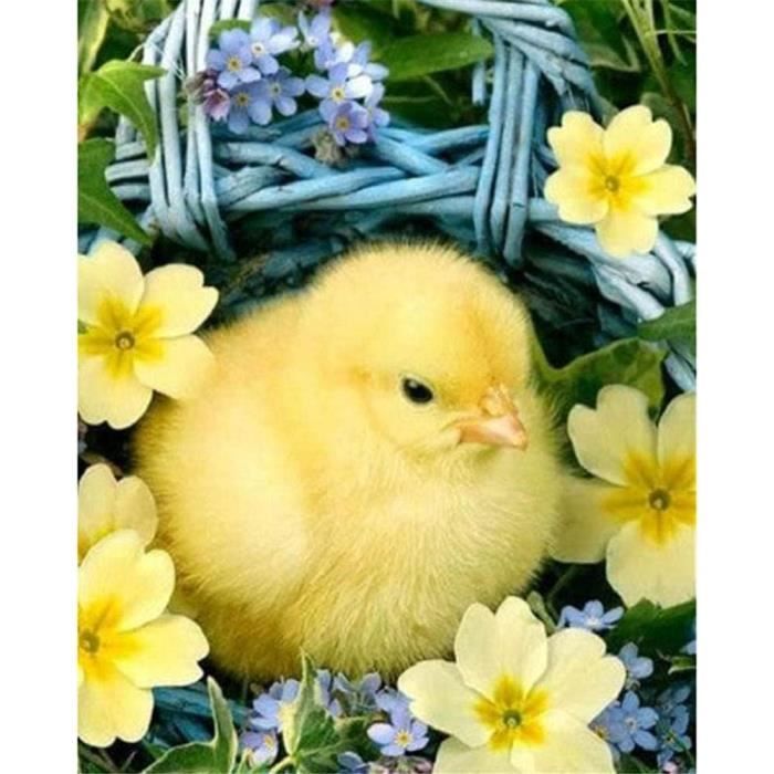 Diy 5D Broderie Diamant Kit Complet Poussin Fleur Jaune Diamant ...