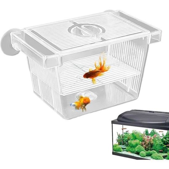 Boîte d'élevage de Poissons Boîte d'isolation Transparente pour ...