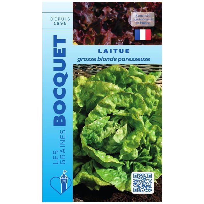 Graine - Semence - Laitue d'été Grosse blonde paresseuse - Cdiscount Jardin