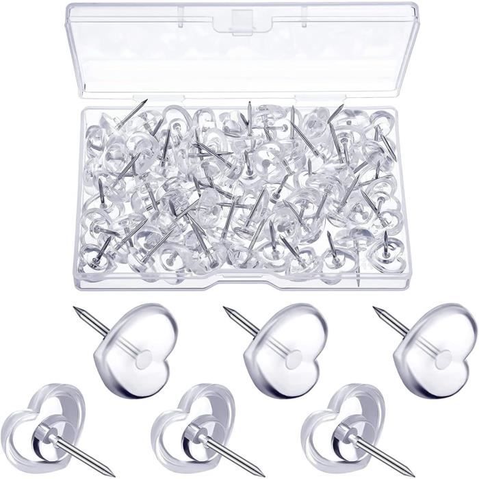 Punaise Murale, Punaises Tableau Liège, Punaise, Punaises Murale, 200 ...