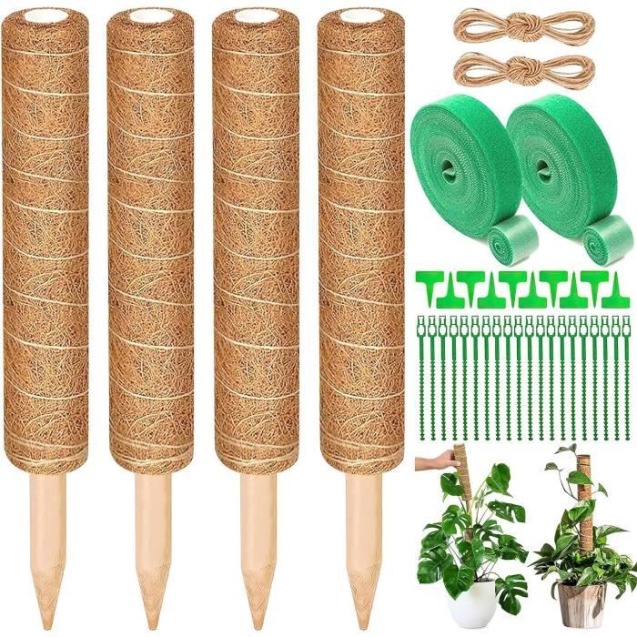 Tuteur Monstera, 4 Pcs 40 Cm Tuteur Coco, Sphaigne Avec Bande Velcro ...