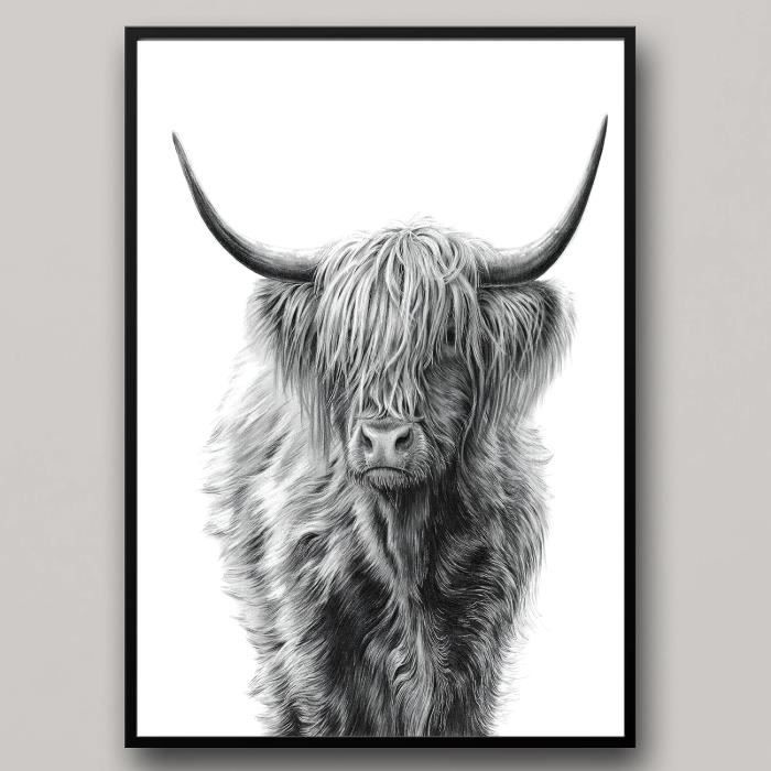 Impression Sur Toile De Vache Nordique Des Highland, Poster De Vache ...