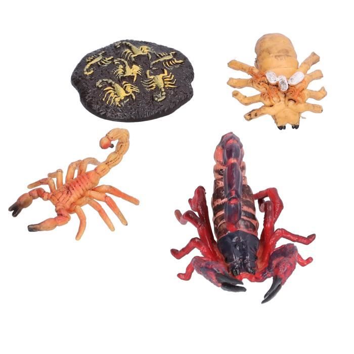 Zerone Scorpion Educational Toys, Meet Curiosity Scorpion Growth Stage ...