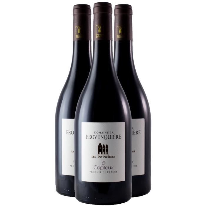 Pays d'Oc Les Invincibles Le Capiteux Rouge 2020 - Lot de 3x75cl ...
