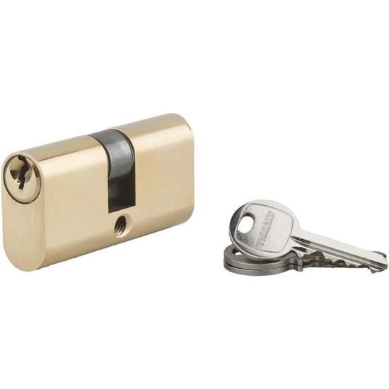 THIRARD - Cylindre de serrure double entrée Ovale, 28x28mm, laiton, anti-arrachement, 3 clés[367 ...