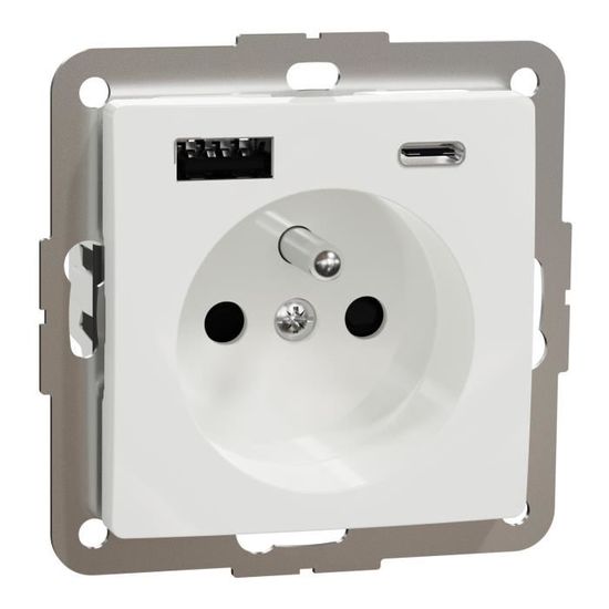 Prise 2P+T avec USB A et USB C 3A - SCHNEIDER ELECTRIC - SDD111072 ...
