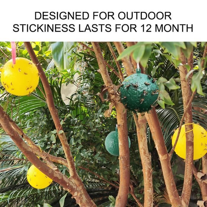 SALUTUYA 8pcs Piège à Mouches Suspendu Attrape Mouche Collant Piège ...