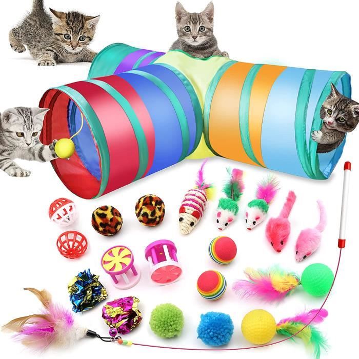 21 pièces chat intérieur interactif jouets chaton jouets y compris ...