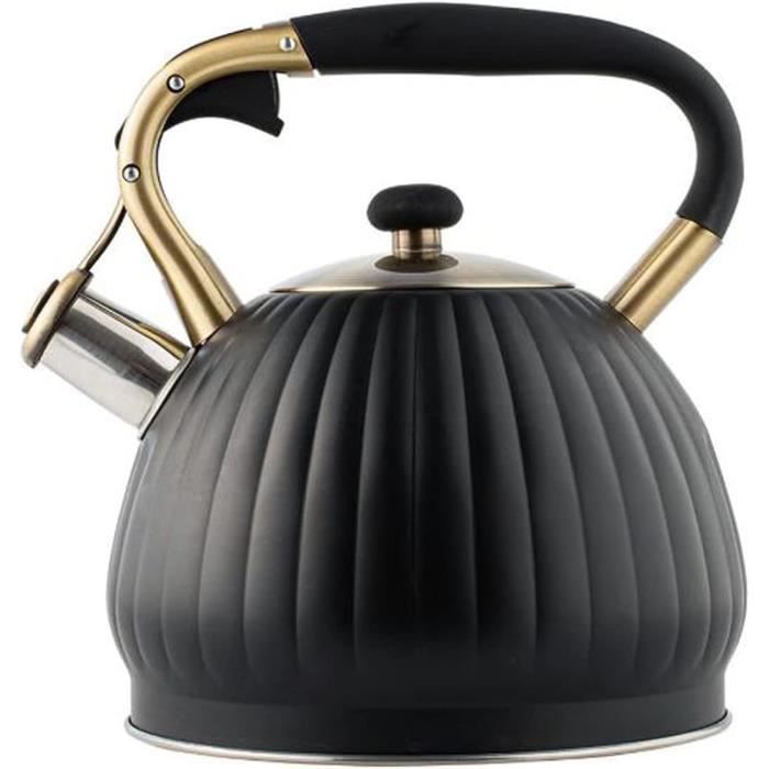 Bouilloire INOX,Convient pour l'eau de la cuisinière à gaz,la ...