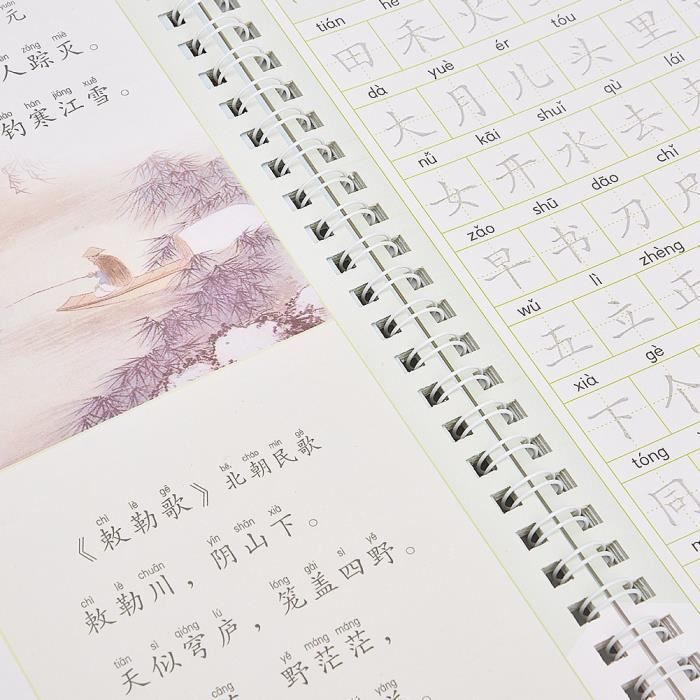 Mxzzand calligraphie chinoise Jeanoko 29 * 21 * 2 Cahier de ...