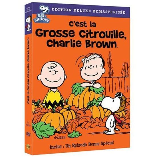 DVD Charlie Brown : C'est la grosse citrouille - Cdiscount DVD