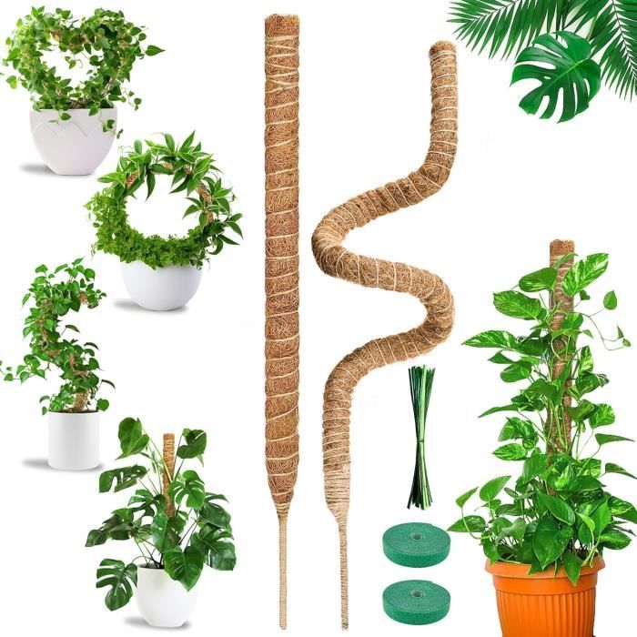 COZCLAM Tuteur Plante Grimpante, 2 x 120cm Tuteur Monstera, Support de ...