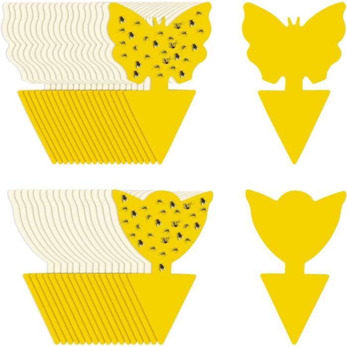 60pcs Pièges à Insectes, Attrape Moucheron Plantes, Anti Moucherons ...