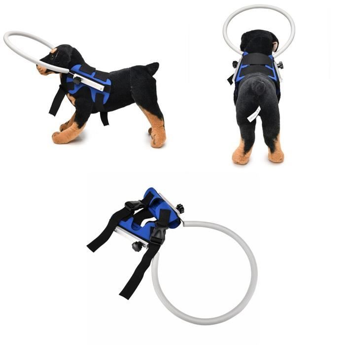 Blind Pet Anti-collision Collar Ring Dog Safe Harness Guide Training ...