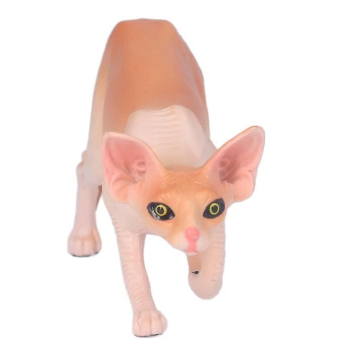 Omabeta modèle animal Omabeta modèle de chat simulé Simulation de ...