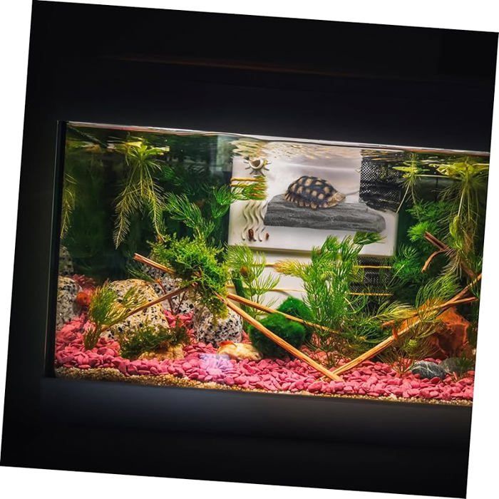Plateforme de repos flottante pour tortues avec ventouse réglable, île ...
