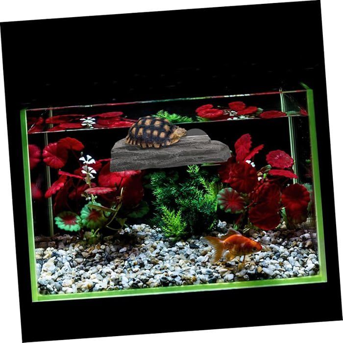 Plateforme de repos flottante pour tortues avec ventouse réglable, île ...