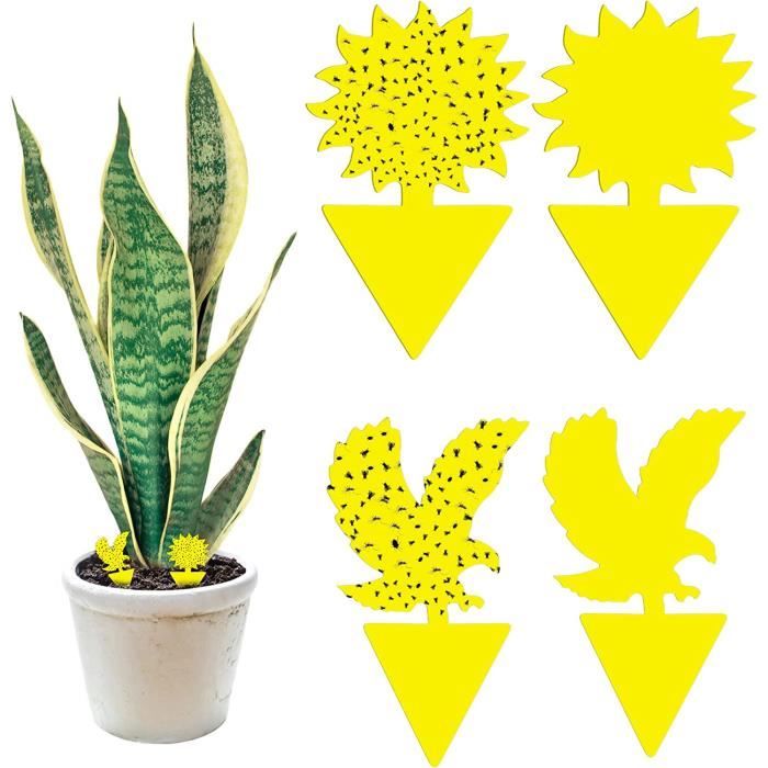 60Pcs Pièges à Insectes, Anti Moucherons Interieur, Pièges Engluées ...