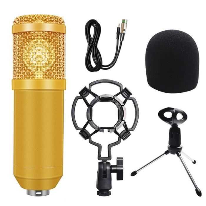 Kit de Microphone à condensateur, support de choc, capuchon en mousse ...