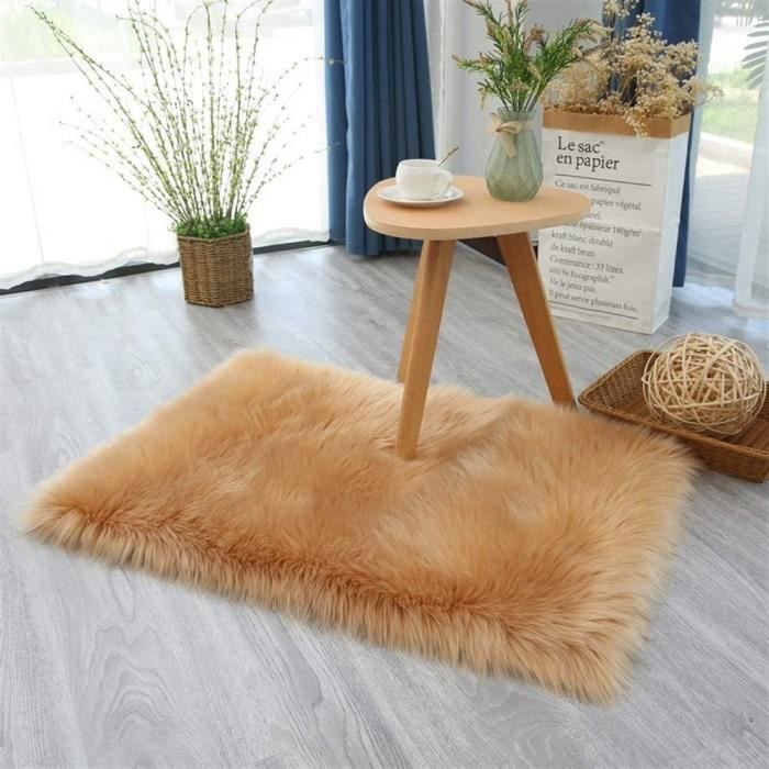 Tapis Salon Shaggy Poil Long Doux Moderne Tapis Imitation Fourrure Laine Rectangulaire Pour ...