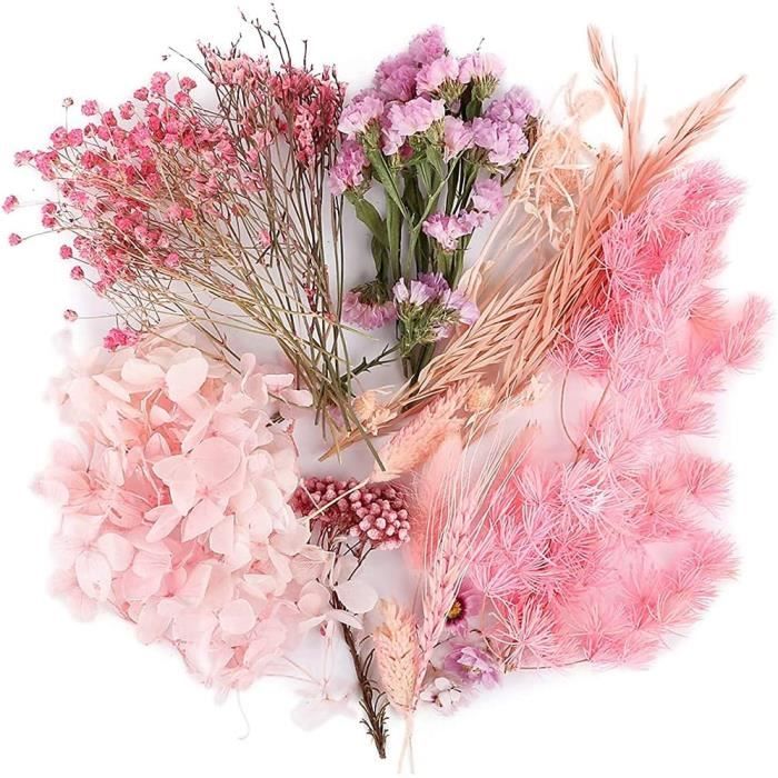 Fleur Sèche Naturelle, 1 Boîte Bouquets Fleurs Séchées, Artisanat ...