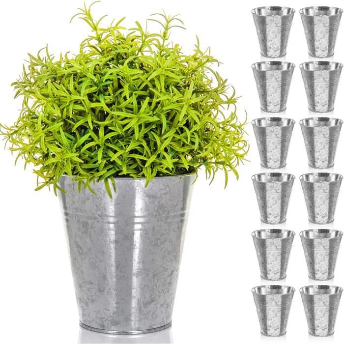 Lot De 12 Pots De Fleurs En Fer Galvanisé Résistant Aux Intempéries ...
