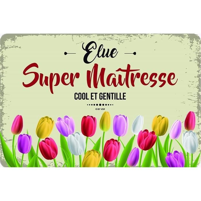 Plaque Metal 20x30 cm Cadeau ElueSuper Maitresse Cool et Gentille ...
