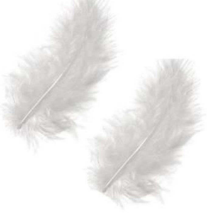 Plumes décoratives - TD® - 100 Plumes blanches - Longueur 8-10 cm ...