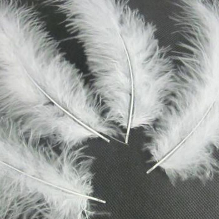 Plumes décoratives - TD® - 100 Plumes blanches - Longueur 8-10 cm ...