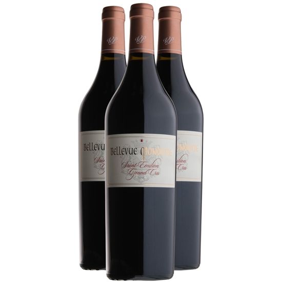 Château Bellevue-Mondotte 2013 - Saint-Emilion Grand Cru - Vin Rouge de ...