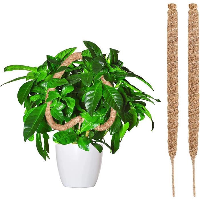 2 Pièces Tuteur Plante Grimpante 64 cm Tuteur Coco Curable Tuteur ...