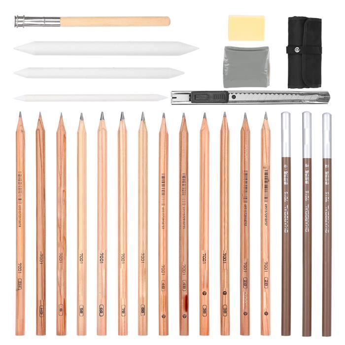 Qiilu Crayons de croquis Kit de Dessin de Croquis Professionnel Crayons ...