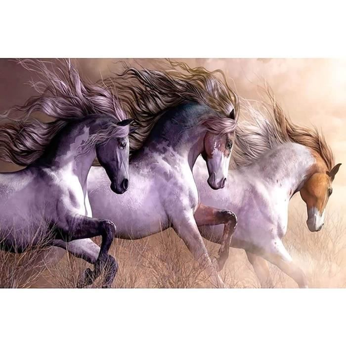 Peinture au Numero DIY Cheval Paint by Number Kit Peinture Par Numéros ...