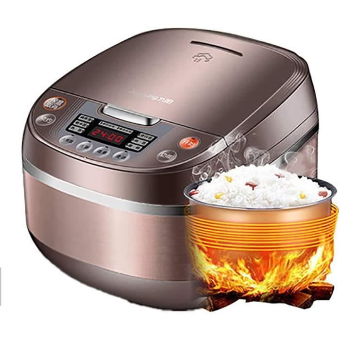 Cuiseur À Riz Avec Chauffage Par Induction (IH) Et Bol En Céramique, 10 ...
