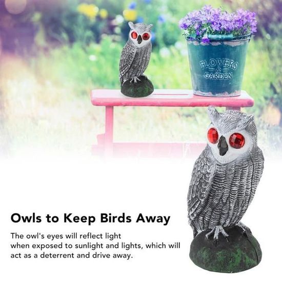 ZHU Répulsif Pigeon Effaroucheur d'oiseaux Forme d'Hibou Anti-Oiseaux ...