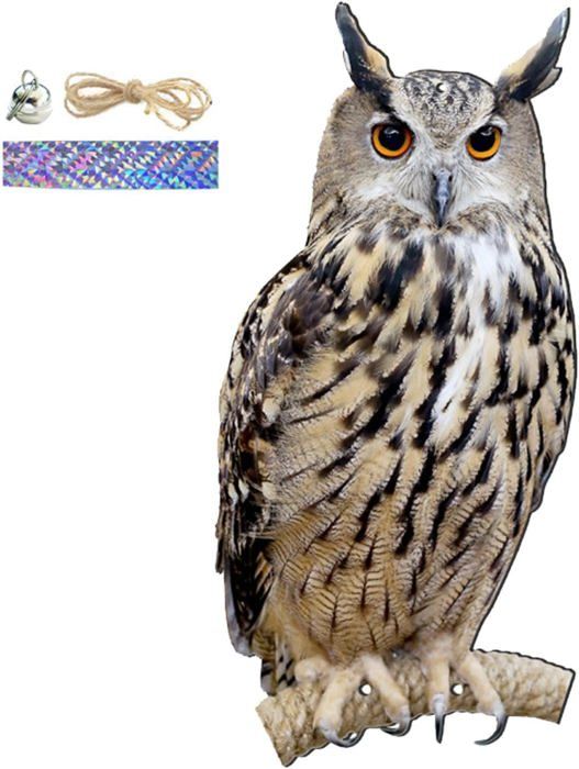 A hibou artificiel avec son, épouvantail réaliste et étanche, pour ...