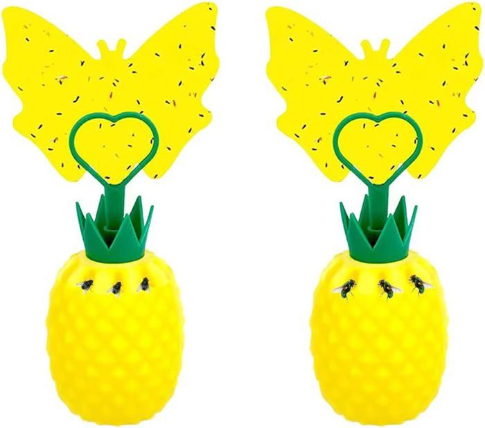 Pièges à Insectes, 2 Pièces Jaunes Attrape moucheron, piege moucherons ...