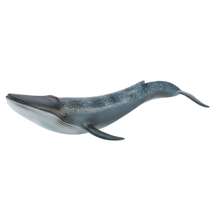 Simulation Whale Miniature Animal Toy Collection Figurine Home Decor ...
