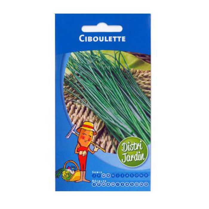 Graines de Ciboulette - Cdiscount Au quotidien