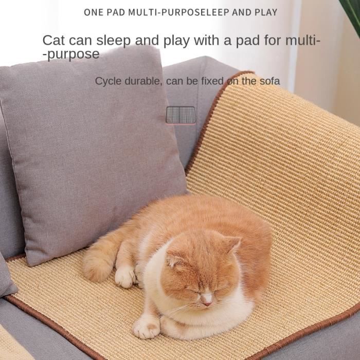 Griffoir - Non spécifié - 50x80cm - Sisal - Rectangulaire - Pour chats ...