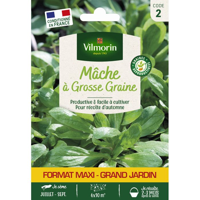 Graines - Vilmorin - Mâche à Grosse Graine - Grand Modèle - Cdiscount ...