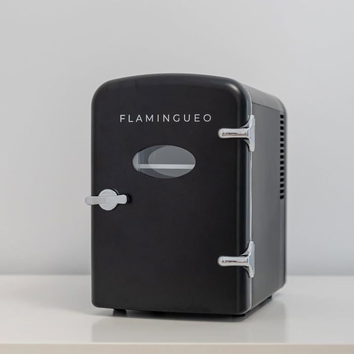 Flamingueo Mini Frigo - Petit Frigo 4L, Mini Frigo de Chambre, 12V/220V ...