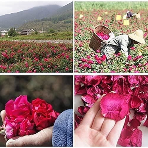 KAIAIWLUO Pétales de Rose Séchées,100 Grammes Naturelles Flurs de Rose ...